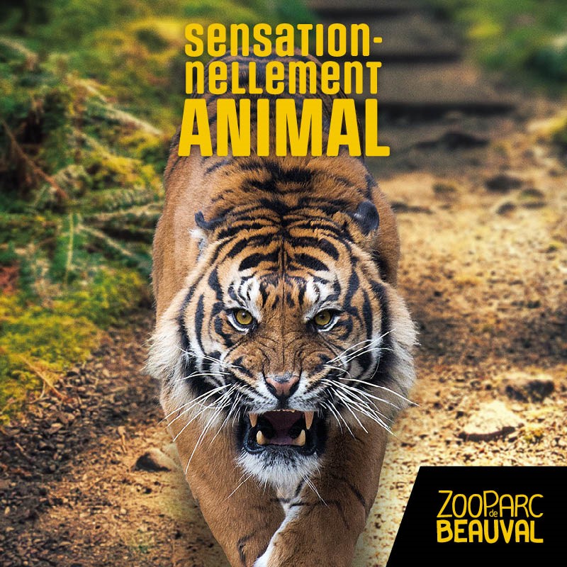 CE+ Services - E-Billet ZooParc de Beauval enfant 2 jours - validité ...